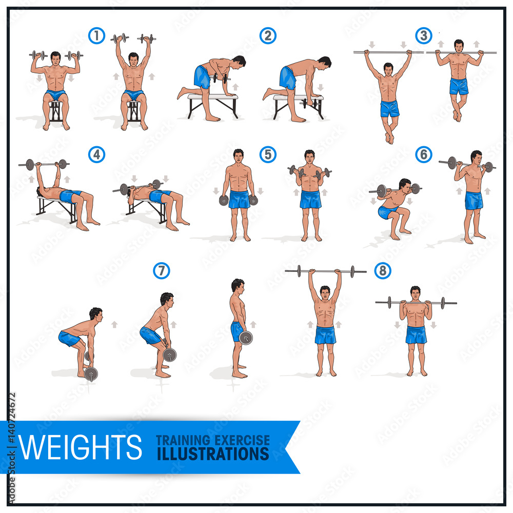 Training Exercise Vector Illustrations - Weights Stock Illustration ...