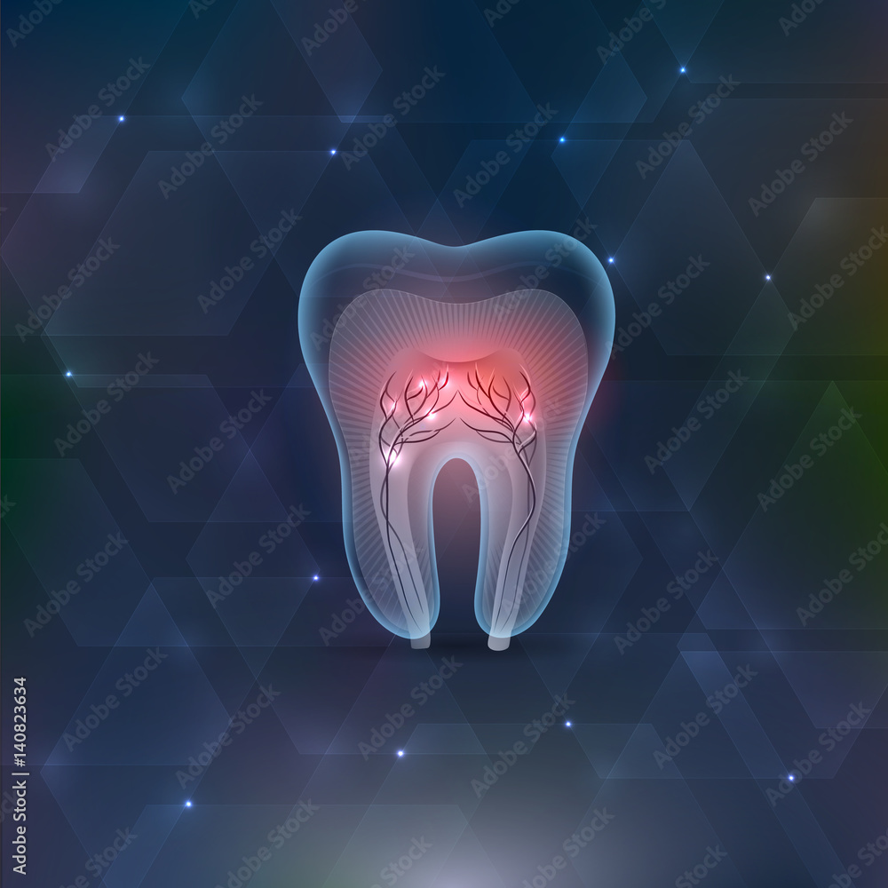 Tooth cross section abstract geometric shapes background Stock Vector ...