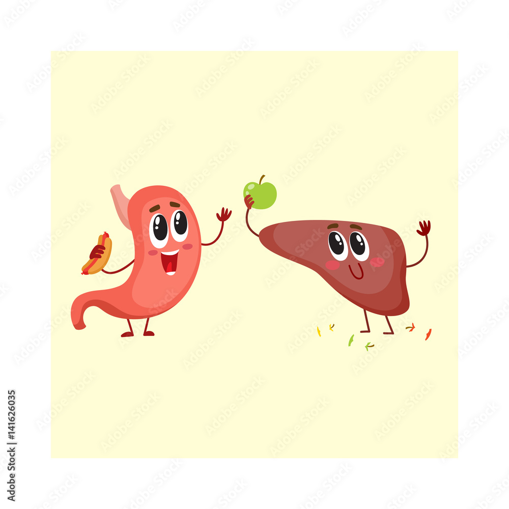 Cute and funny, smiling human stomach and liver characters, digestive ...