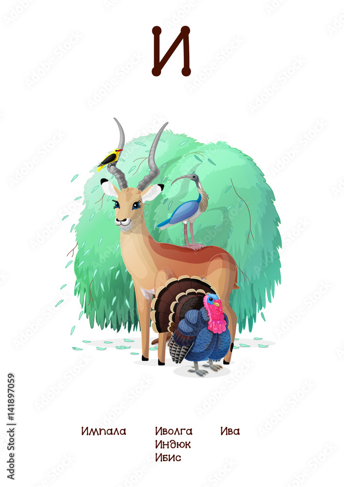 Russian Alphabet series of Amusing Animals letter 10 (all 33) Stock ...