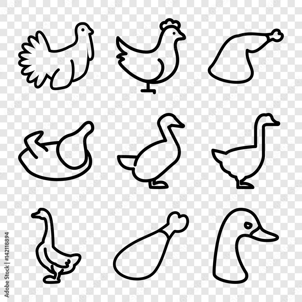 Image vectorielle Stock Set of 9 poultry outline icons | Adobe Stock