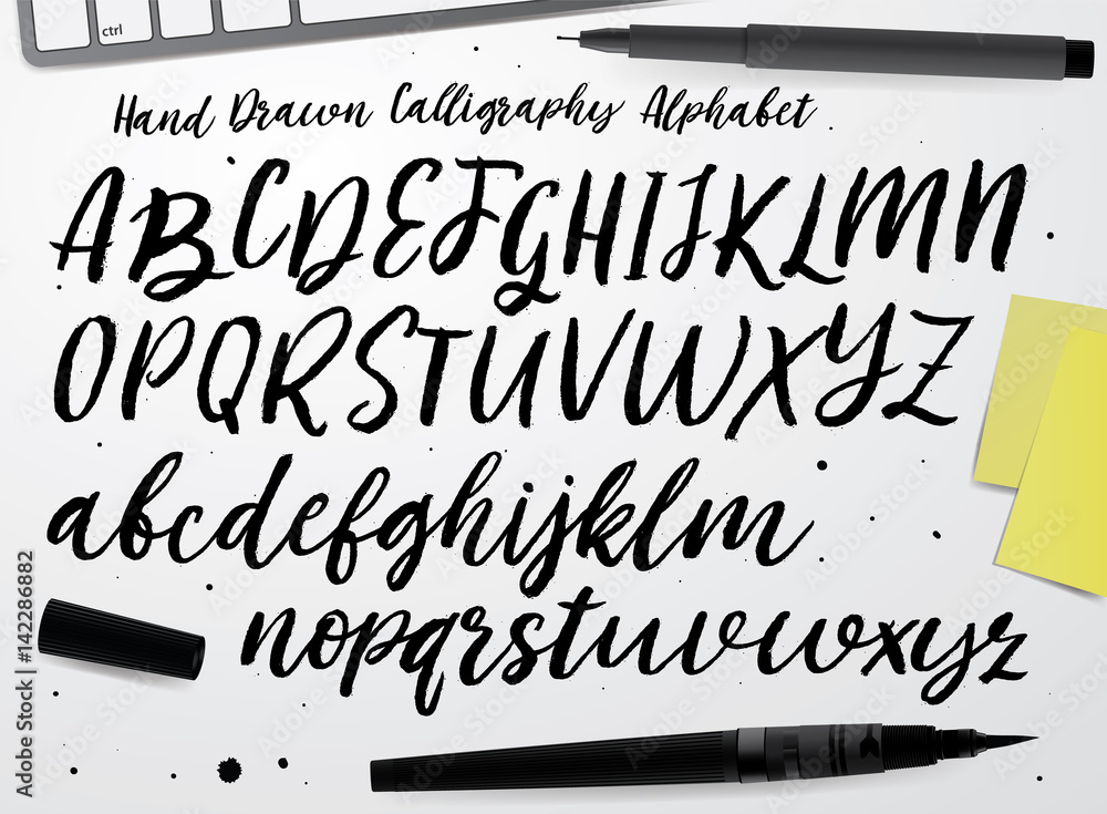 Calligraphic vector script font. Handwritten brush style modern ...