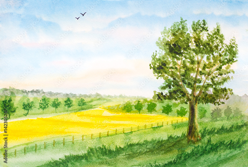 watercolor landscape background with summer field, trees, sky with ...