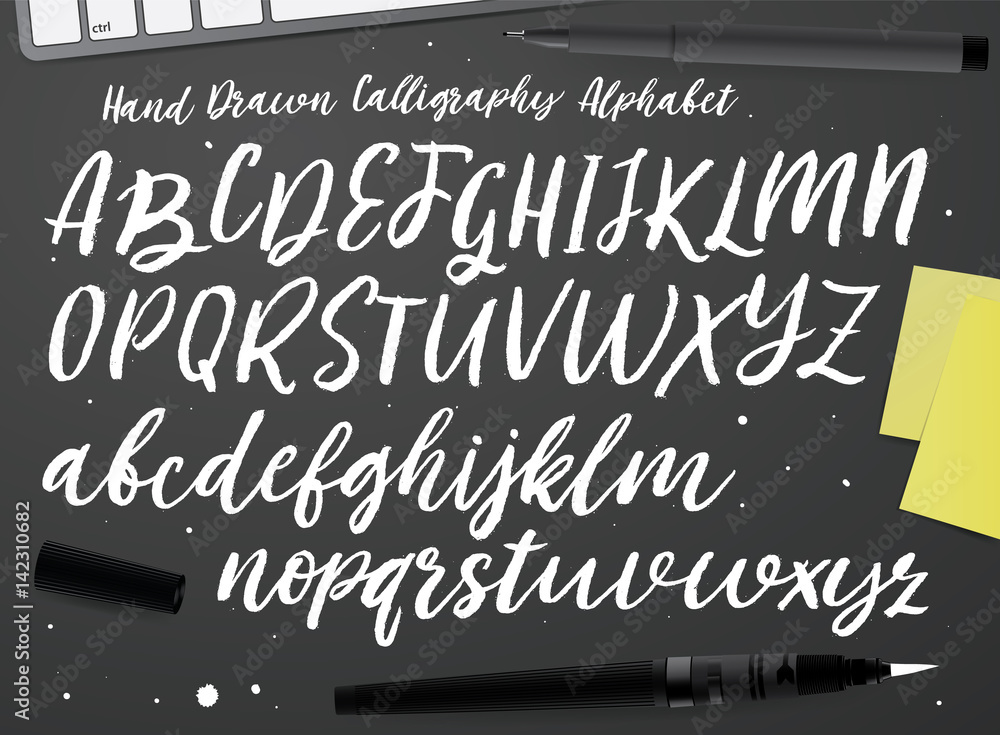 Calligraphic vector script font. Handwritten brush style modern ...