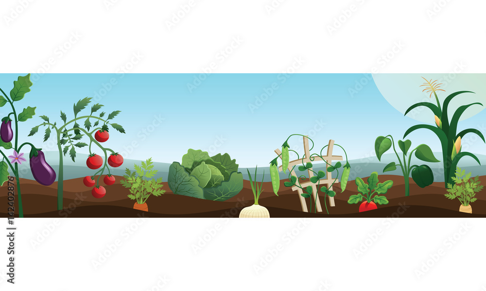 Vector Vegetable Garden Header Illustration Stock Vector | Adobe Stock