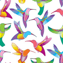 Flying Bird Duplication Pattern Free Stock Photo - Public Domain Pictures