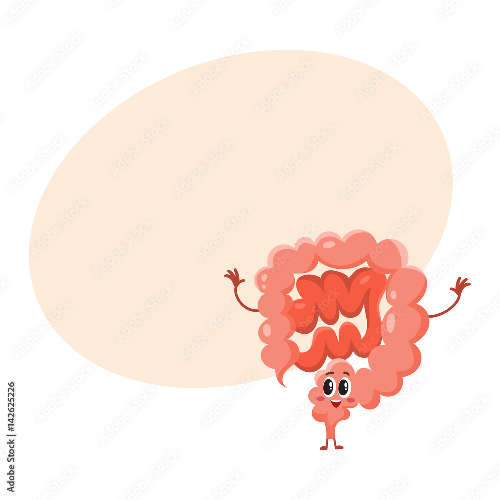 Cute and funny, smiling healthy bowel, intestine character, cartoon ...