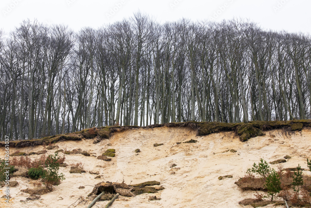 natürliche Erosion an einer Meeresküste - Ostseeküste bei Misdroy in ...