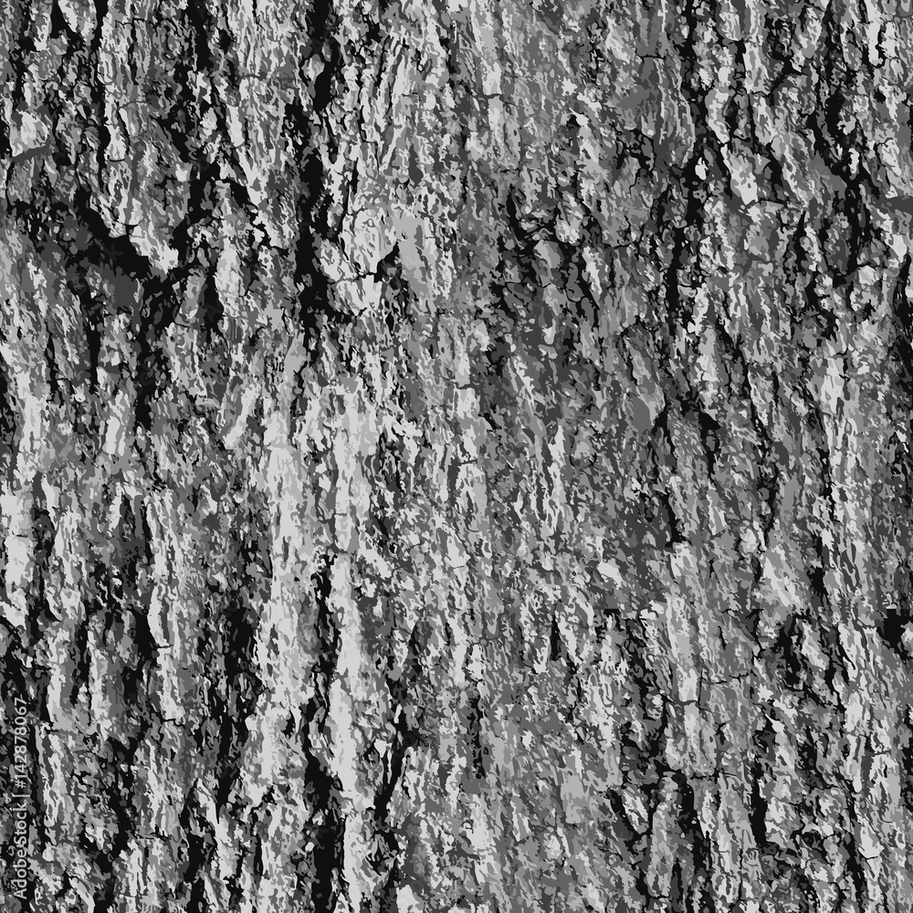 Texture bark shape with seamless background. Stock Vector | Adobe Stock