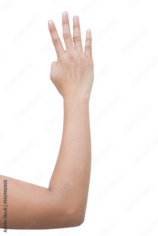 right back hand a woman show four finger, greet, stop, hand up, the ...
