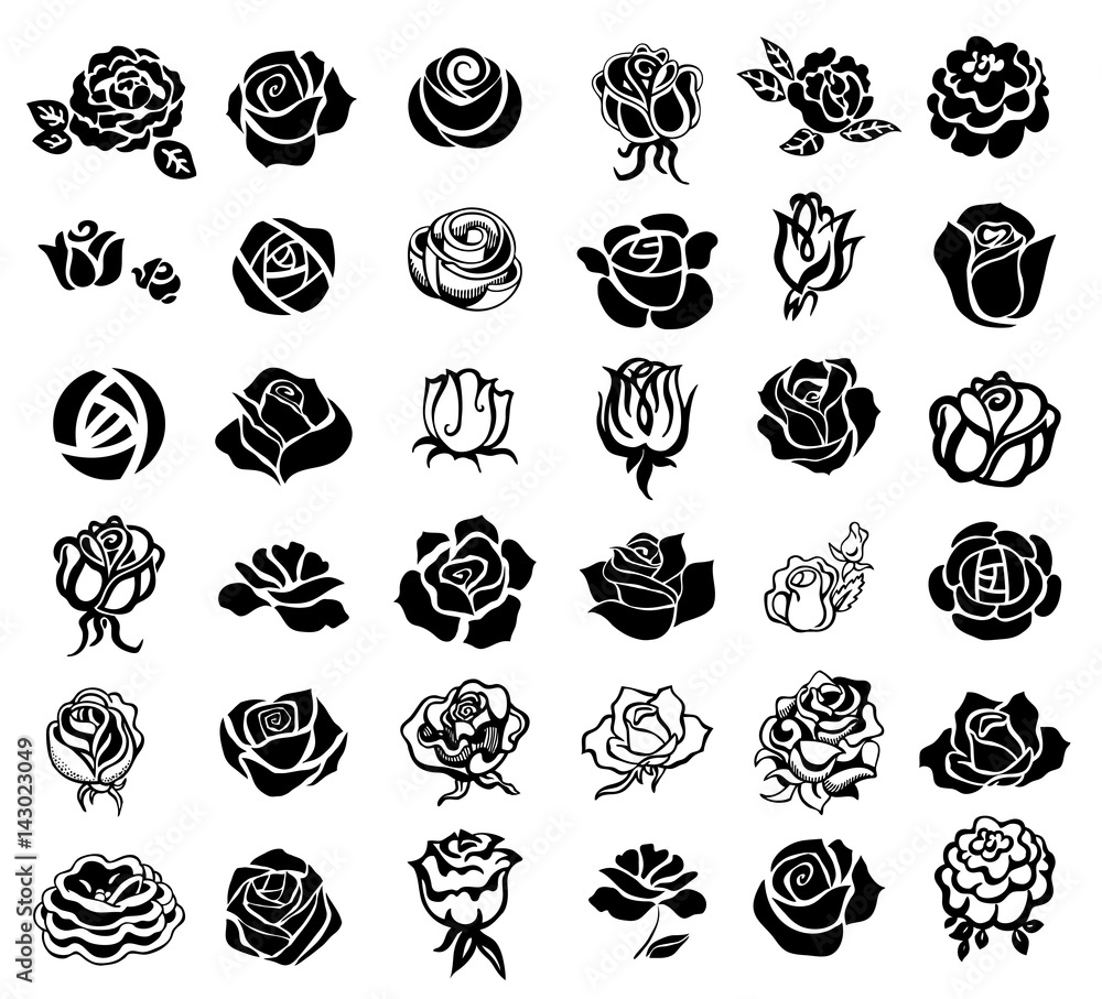Roses design elements Stock Vector | Adobe Stock