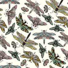 Butterflies Bugs Pattern Wallpaper Free Stock Photo - Public Domain ...