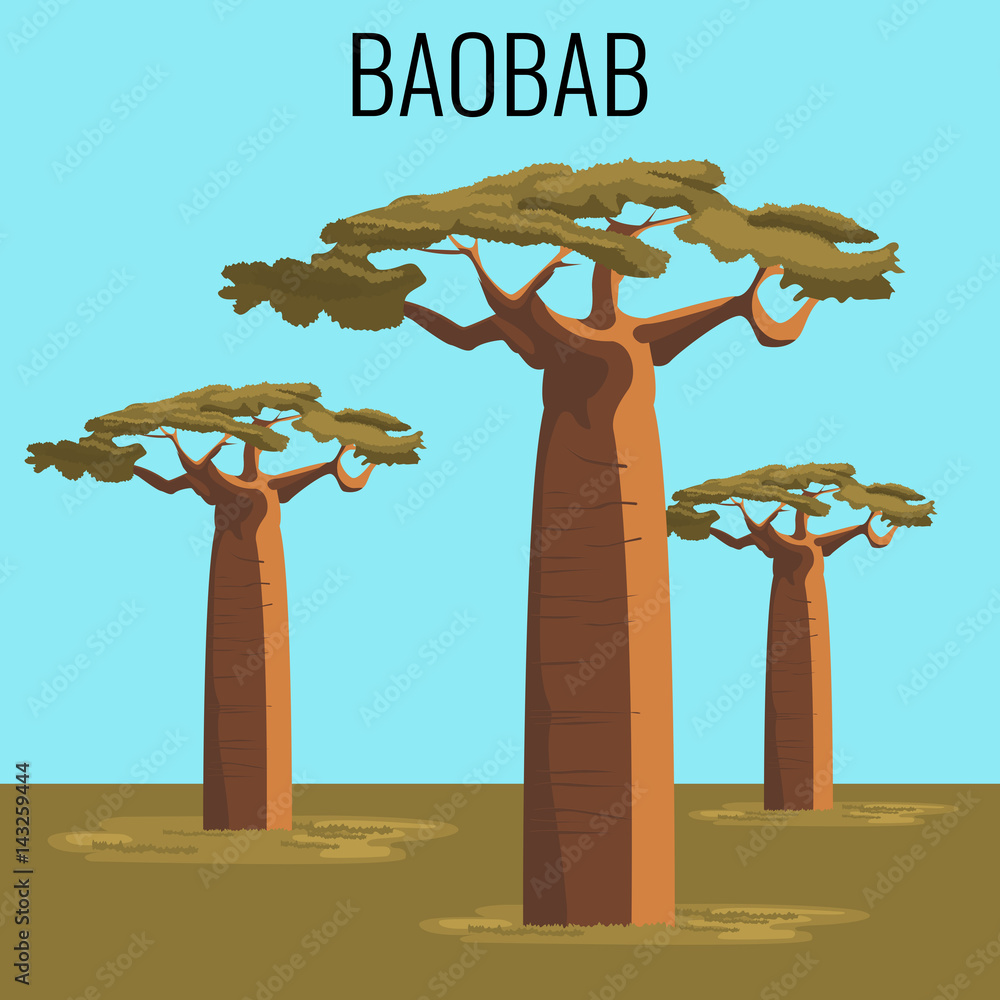 African baobab tree icon emblem Stock Vector | Adobe Stock