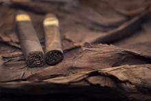 Tobacco Background Free Stock Photo - Public Domain Pictures
