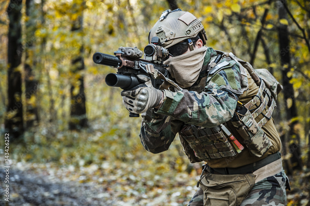 Foto de Stock United states Marine Corps special operations command ...