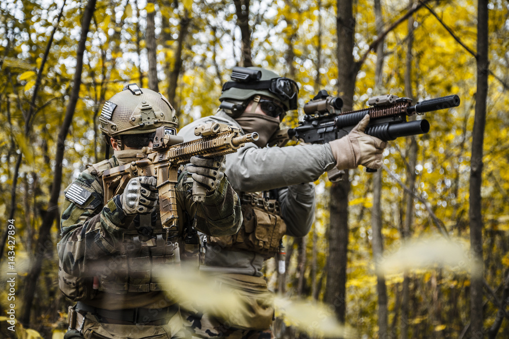 Two United states Marine Corps special operations command Marine ...