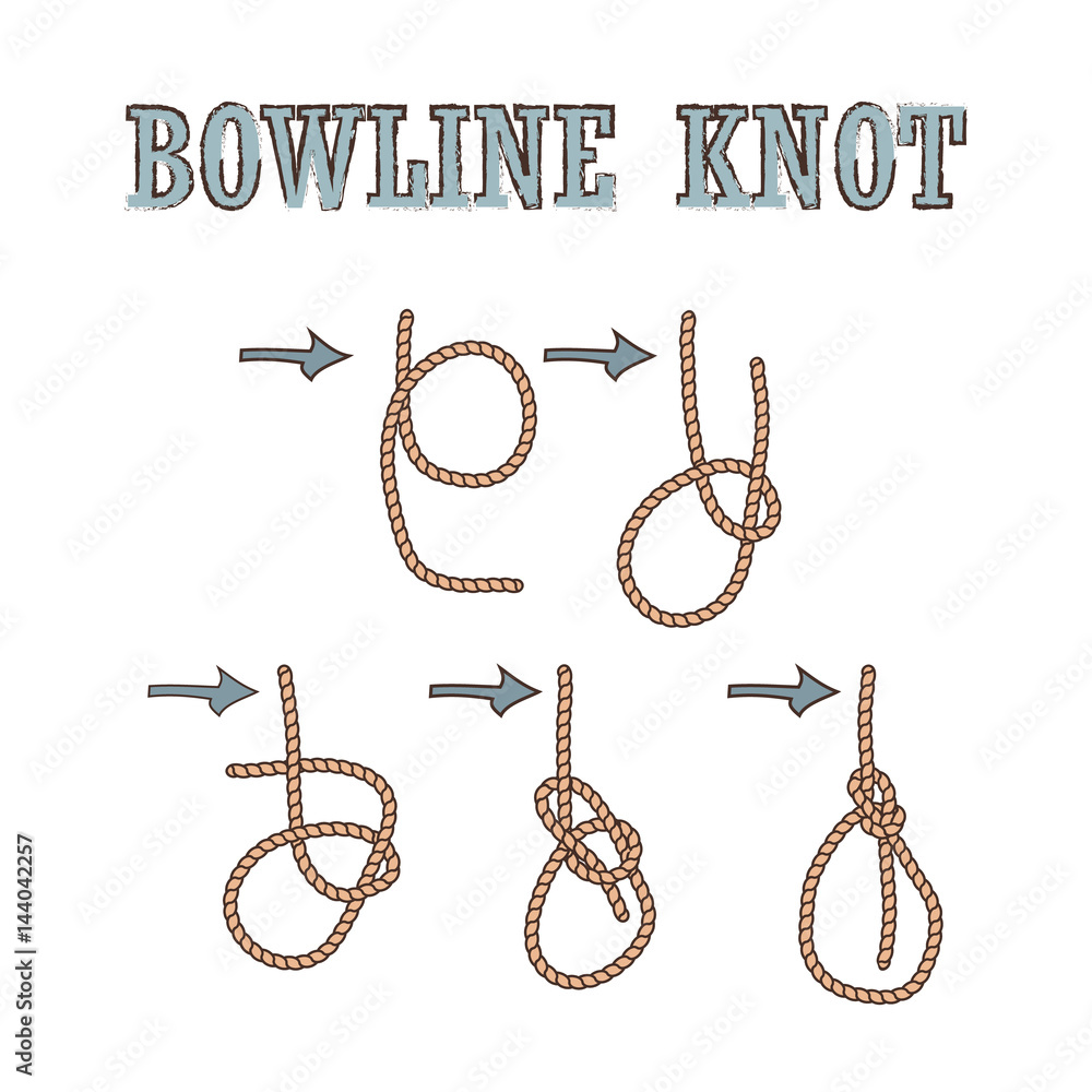 bowline knote manual. how to tie rope knot, vector illustration ...