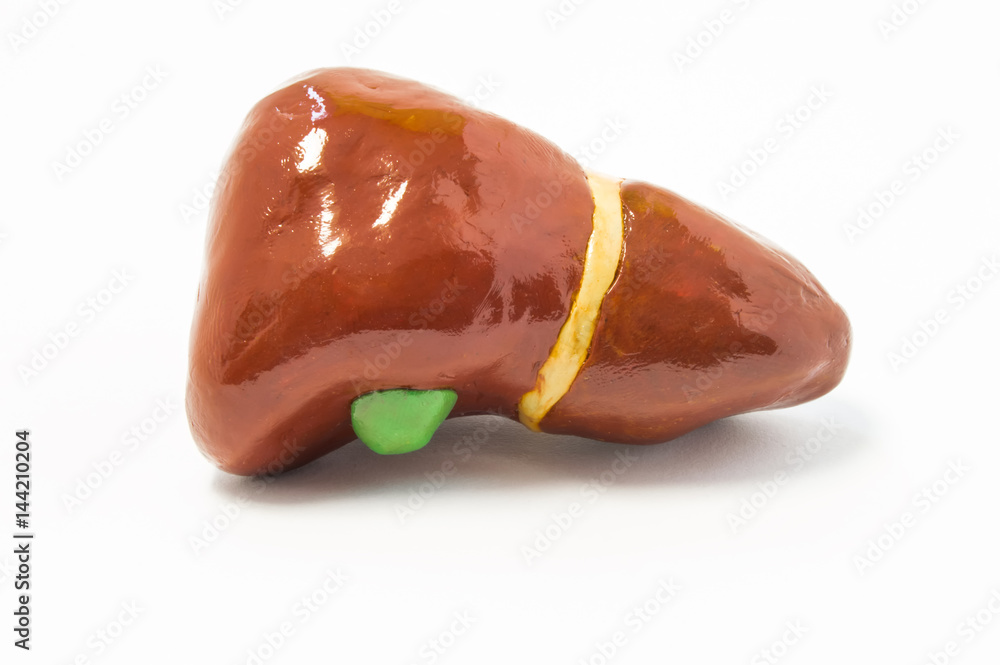 Stock-Foto „Anatomical volume 3D shape of human liver with gallbladder ...