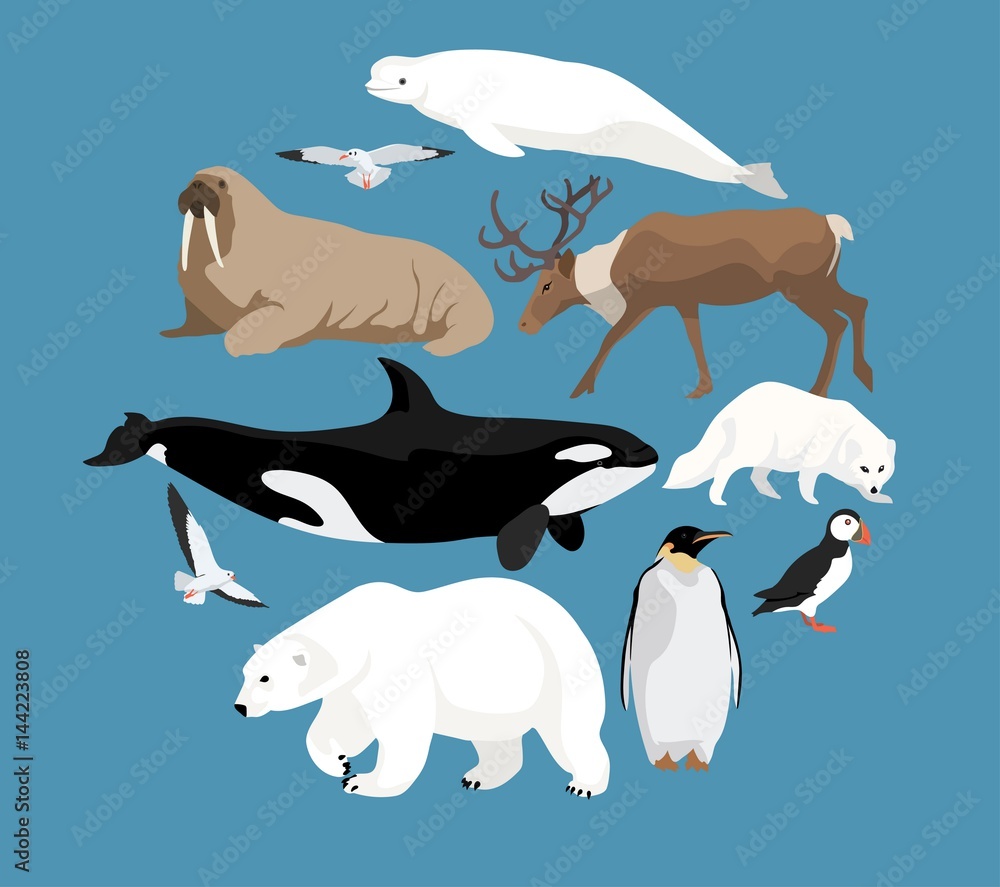 Polar animals circle set with white polar bear and narwhal, whale ...