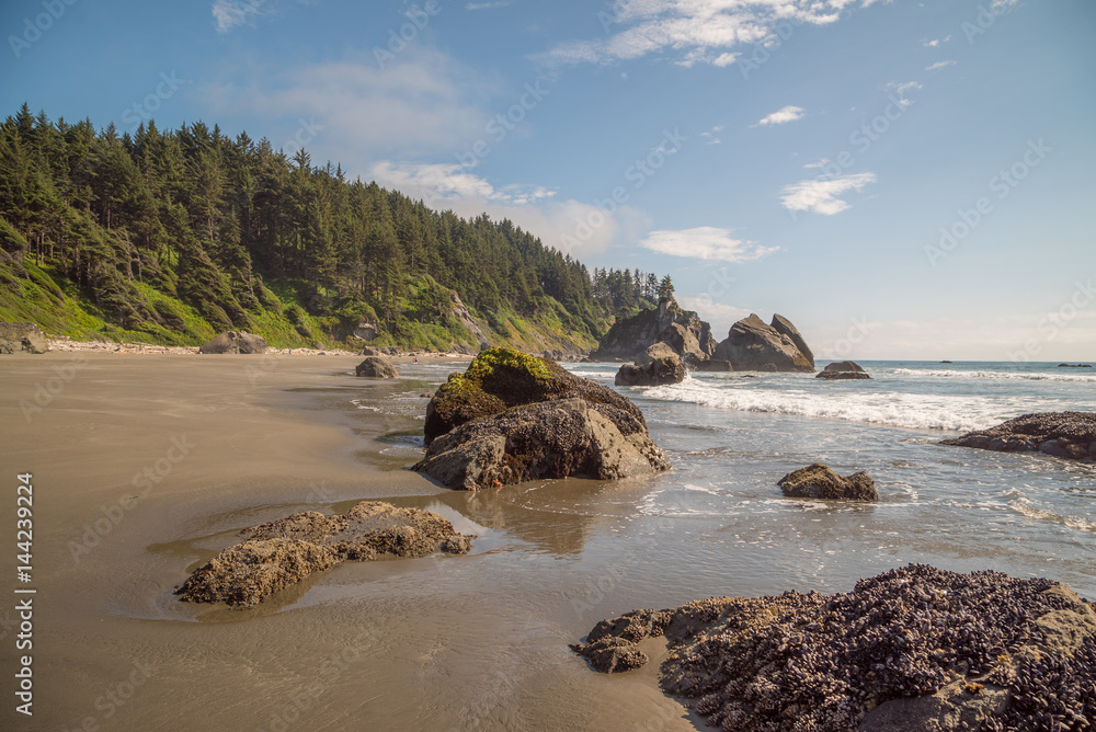 Large boulder among the waves in the sea. Redwood national and state ...
