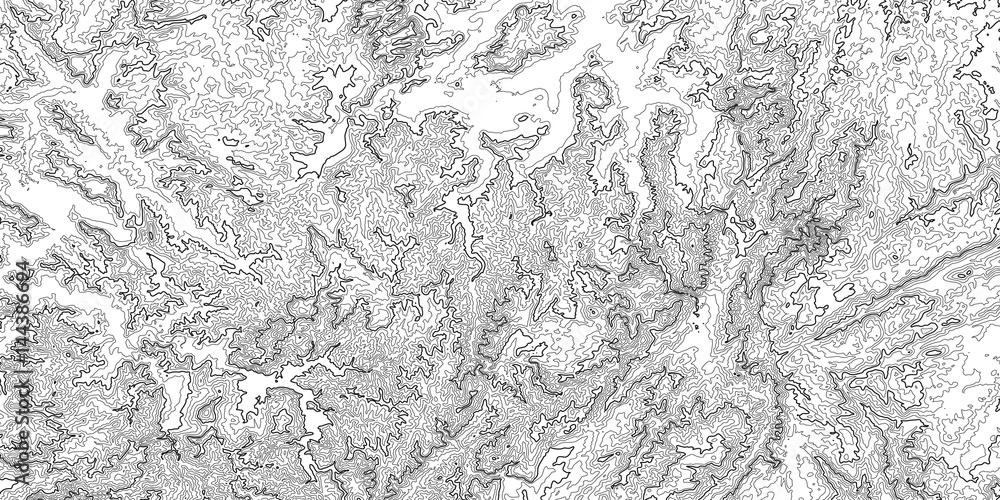 Vector abstract grayscale earth relief map. Generated conceptual ...