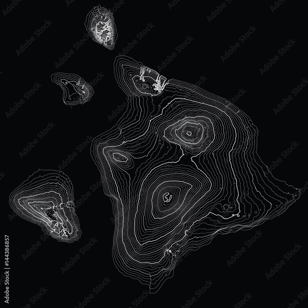 Vector abstract grayscale earth relief map. Generated conceptual ...