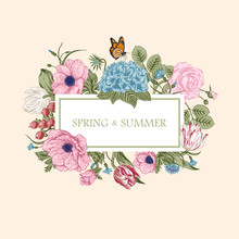 Thistle Vintage Floral Postcard Free Stock Photo - Public Domain Pictures