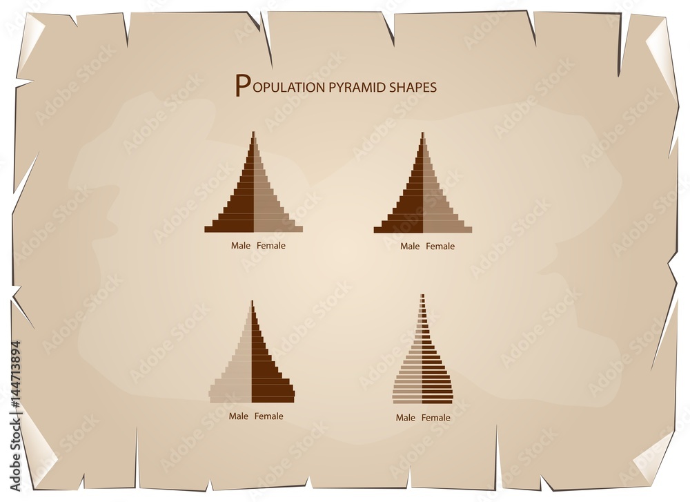 The 4 Types of Population Pyramids Graphs Stock Vector | Adobe Stock