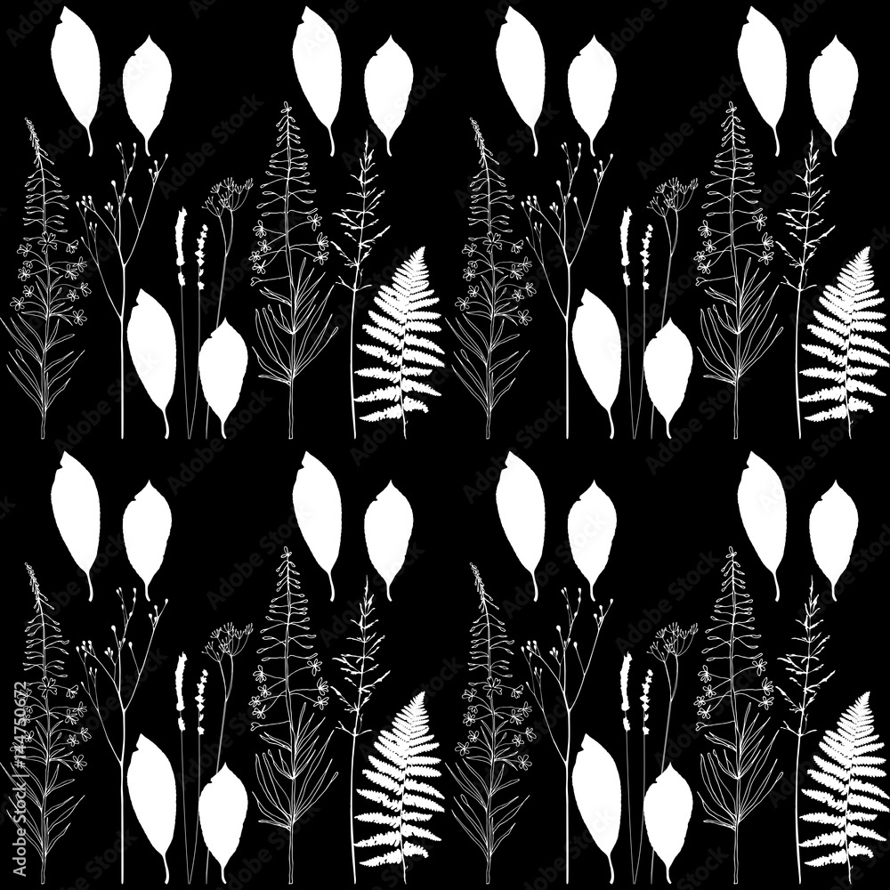 Vector floral seamless pattern with fireweed flowers,dill or fennel ...