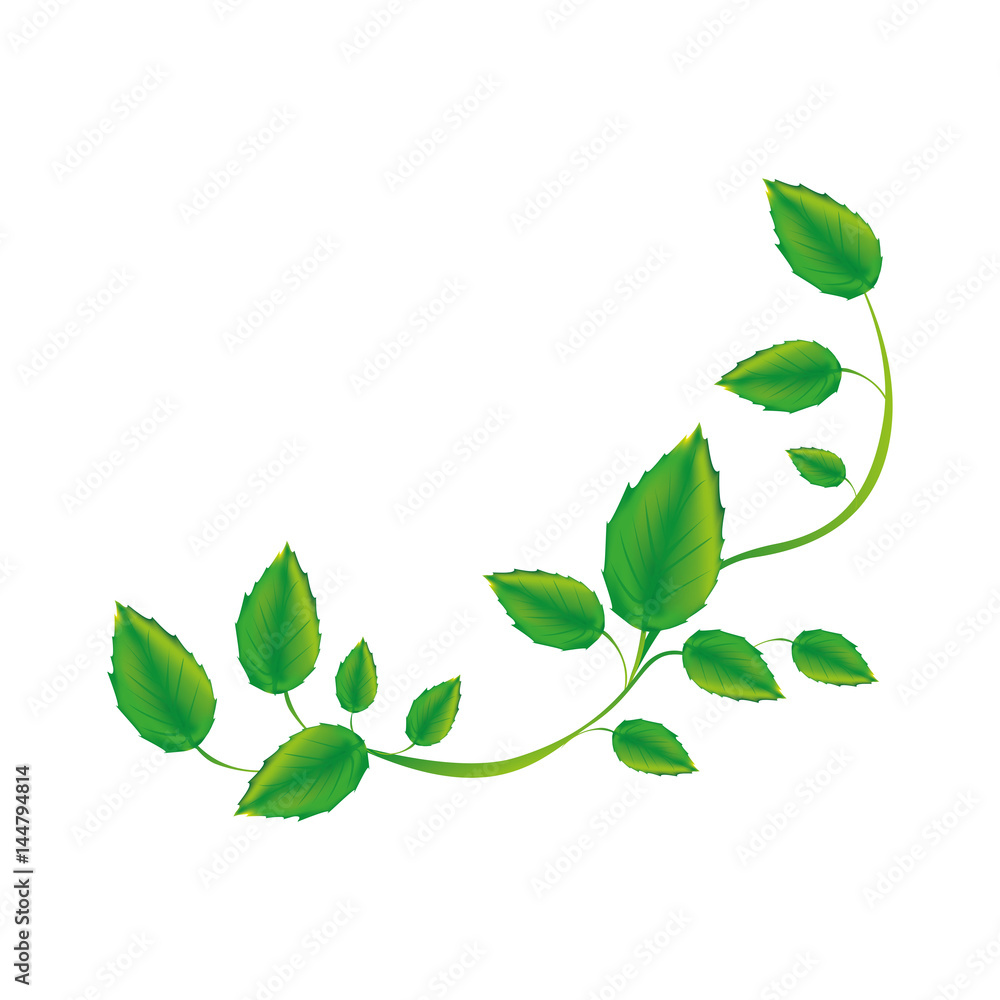 white background with green creeper vector illustration Stock Vector ...