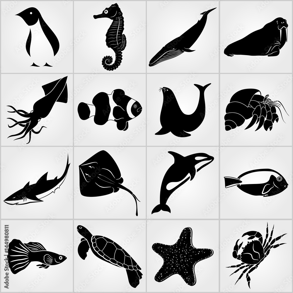 Set of Sea Animals icons. Penguin, Stingray, Sea lion, Grampus, Shark ...
