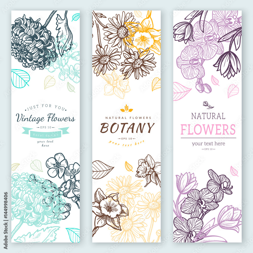 Flower vintage styled sketch banners. Stock Vector | Adobe Stock