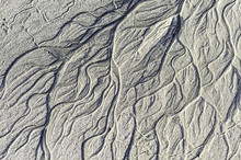 Rivulets In The Sand Free Stock Photo - Public Domain Pictures
