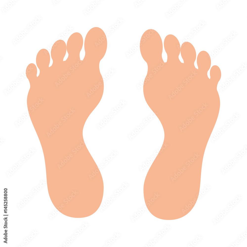 human foot plant icon vector illustration design 스톡 벡터 | Adobe Stock
