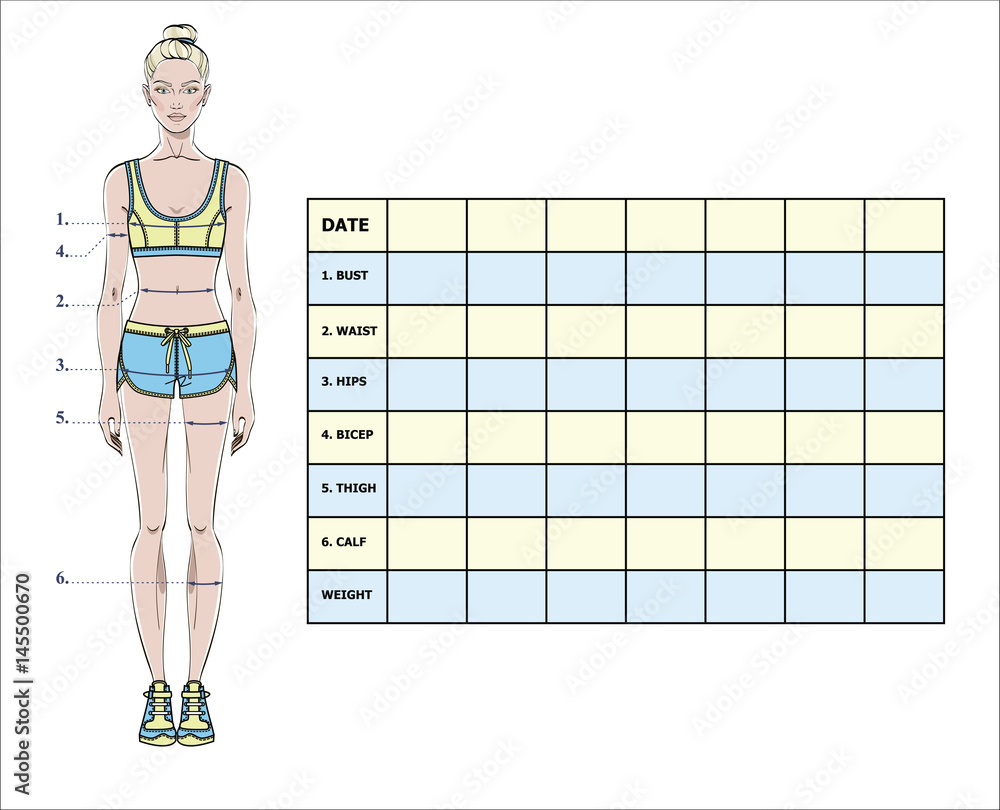 Measurement chart of body parameters for sport and diet effect tracking ...