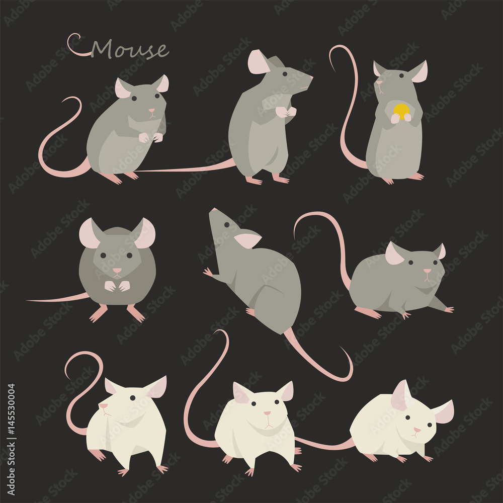 mouse animal vector illustration flat design Stock Vector | Adobe Stock