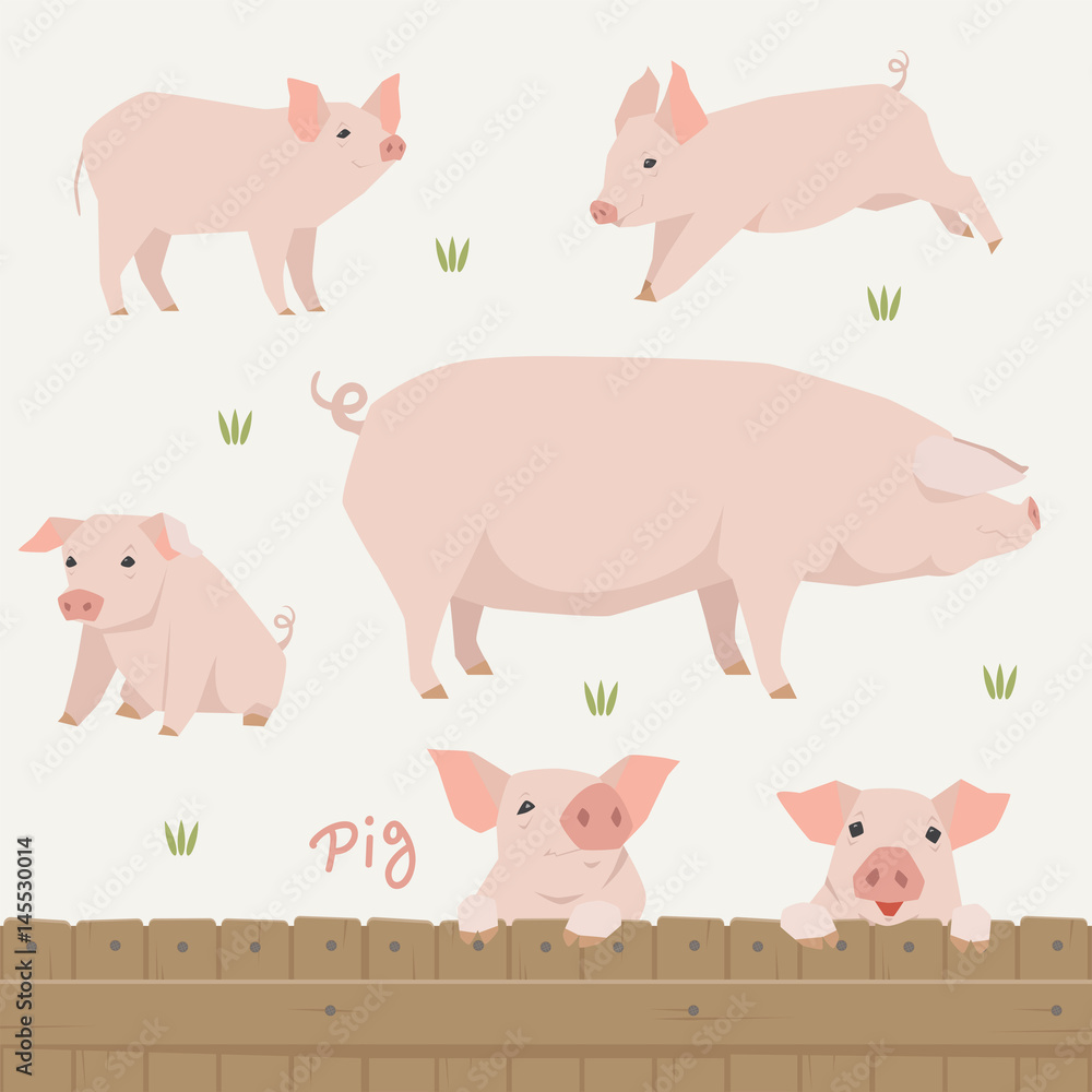 pig animal vector illustration flat design Stock Vector | Adobe Stock