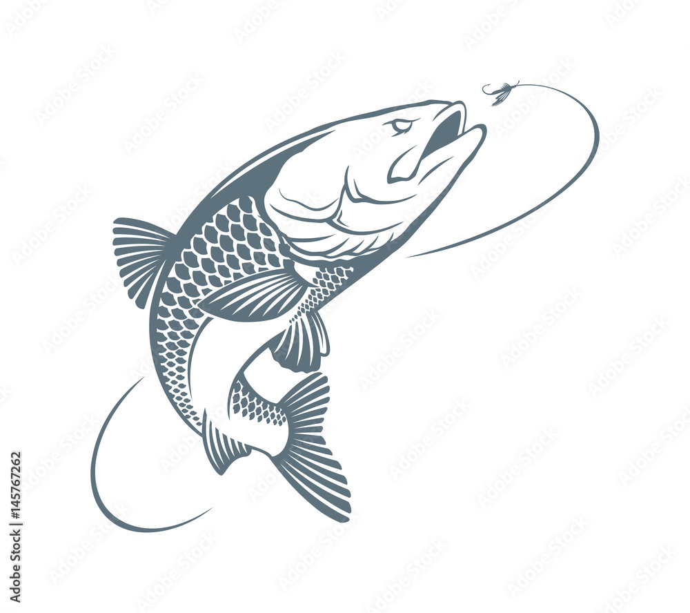 fish chub Stock Vector | Adobe Stock