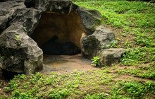 Garden With Artificial Cave Free Stock Photo - Public Domain Pictures