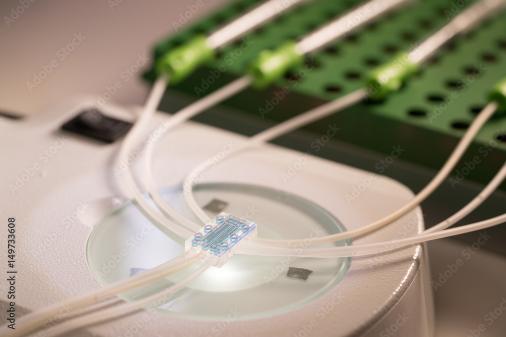 lab on chip device in microbiological laboratory Stock Photo | Adobe Stock