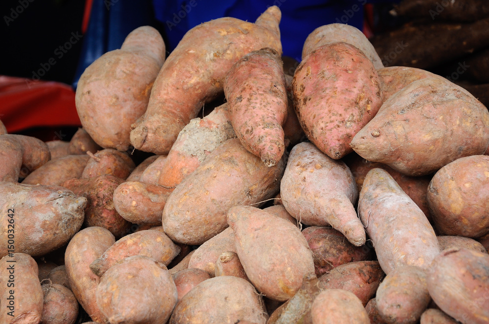 Sweet potatoes corms. Sweet potato also known as Ipomoea batatas as its ...
