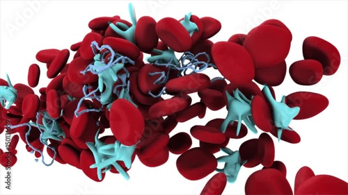 Video zu „Animation showing the formation of a blood clot, or thrombus ...