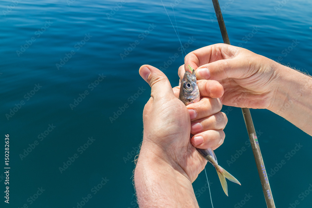 Rod fishing in the Black sea. The Bay Of Balaklava. Sardines are biting ...