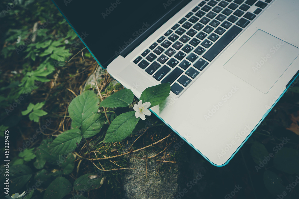 Laptop computer at the natural forest background, spring flowers and ...