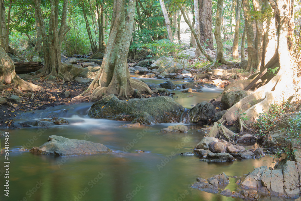 .Waterfall flowing stream is beautiful foam. Traverse the rocks and ...