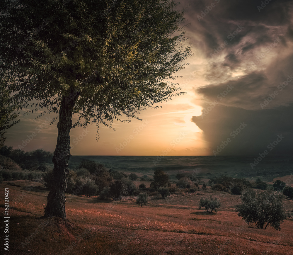 Tuscan sunset Stock Photo | Adobe Stock