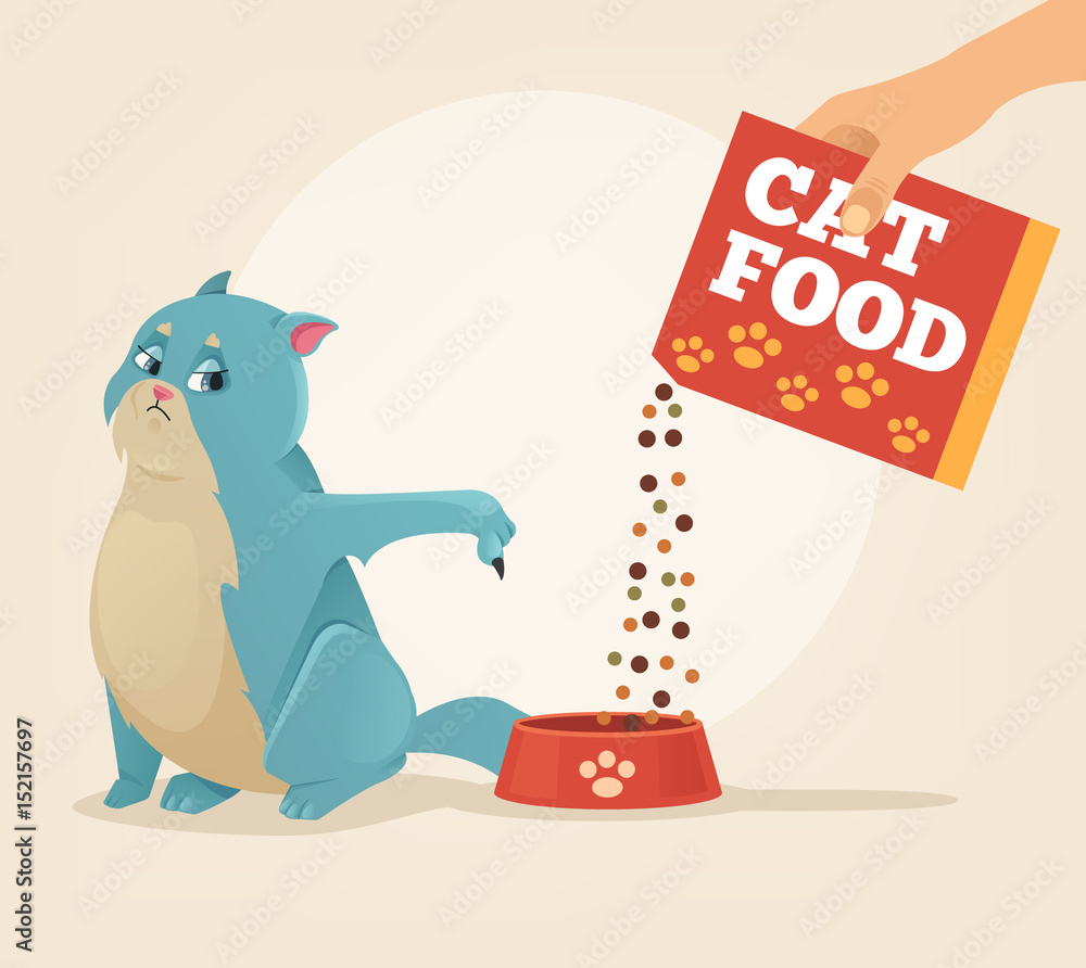 Owner hold carton box with food and feeding his brazen cat character ...