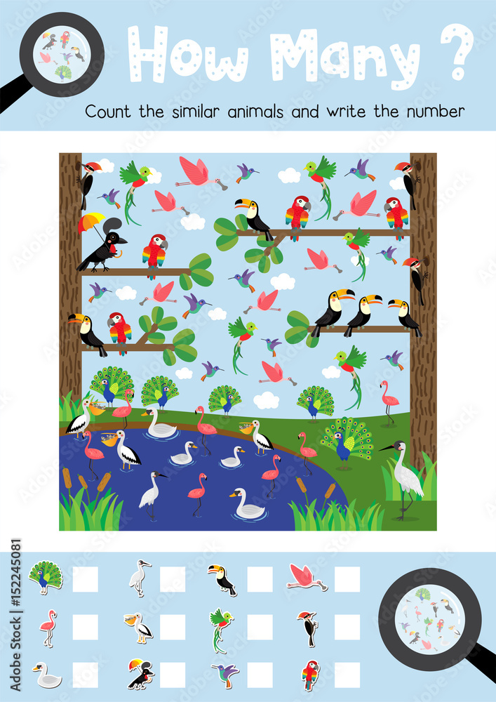 Counting game of cute birds animals for preschool kids activity ...