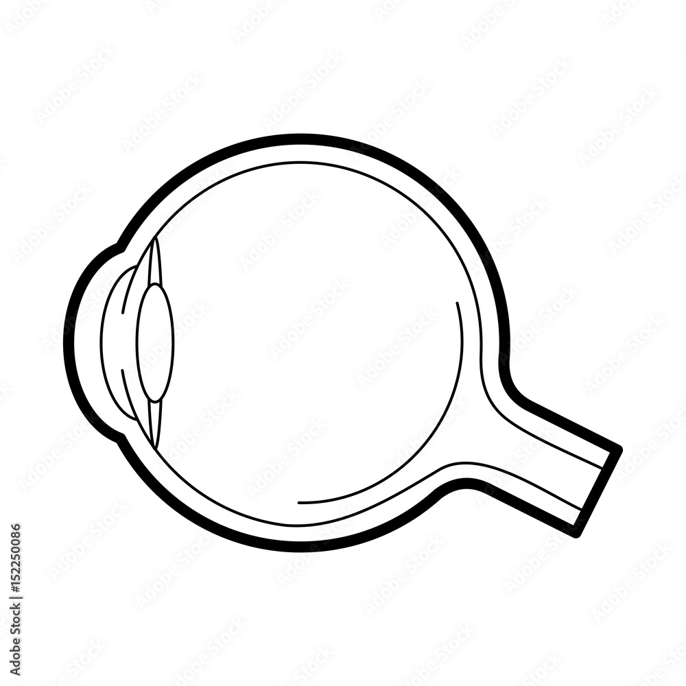 Eyeball anatomy icon, medical side view line art pictogram, image for ...