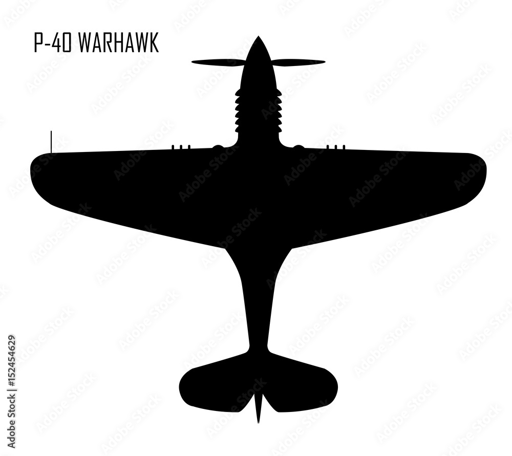 World War II - Curtiss P-40 Warhawk Stock Vector | Adobe Stock